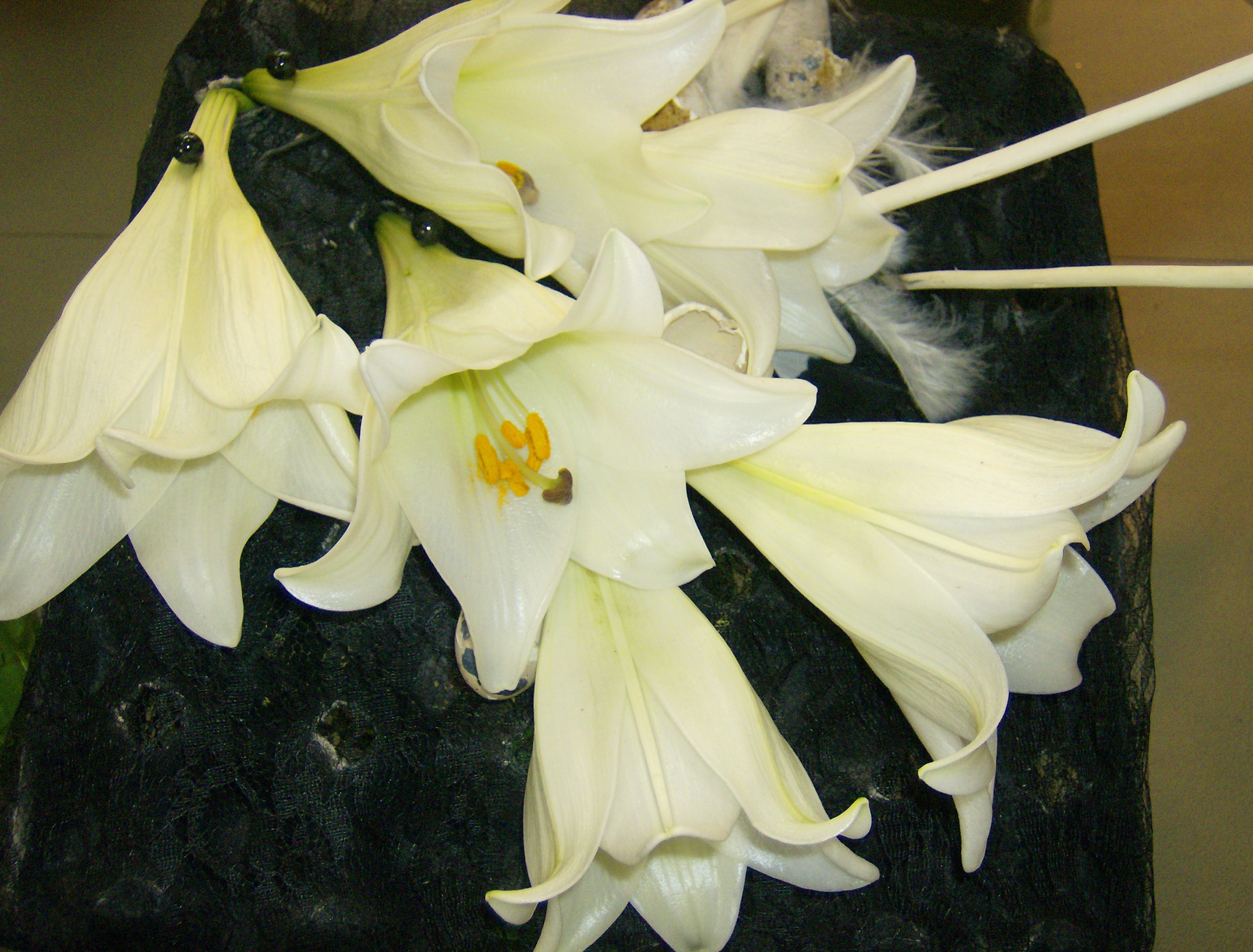 Hvite liljer | OBP - Opplysningskontoret for blomster og planter