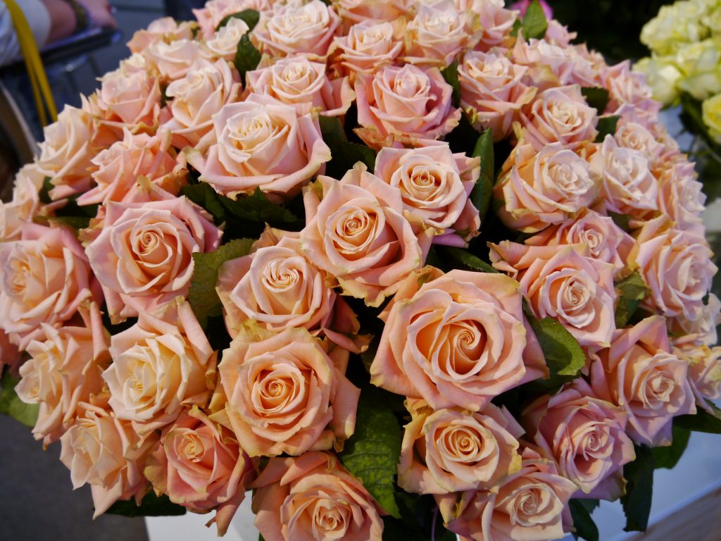 Rosebukett | OBP - Opplysningskontoret for blomster og planter